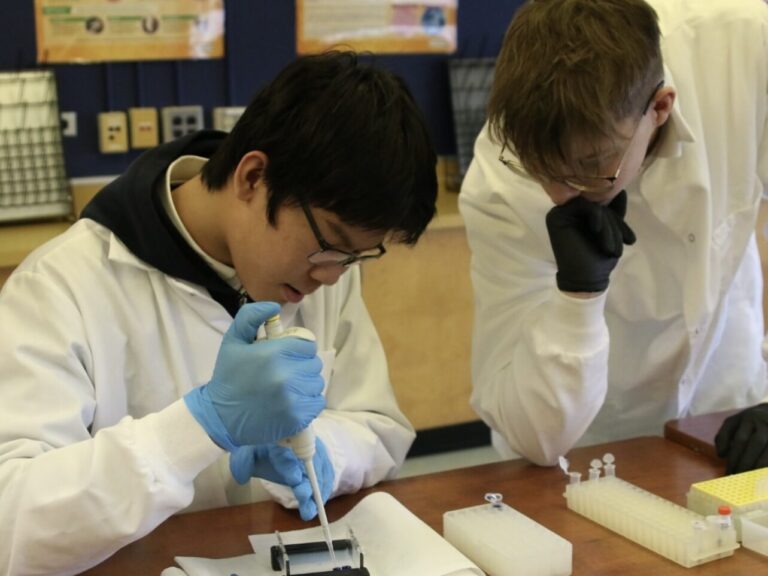 Maplewood Academy - Achieve Your Academic Excellence